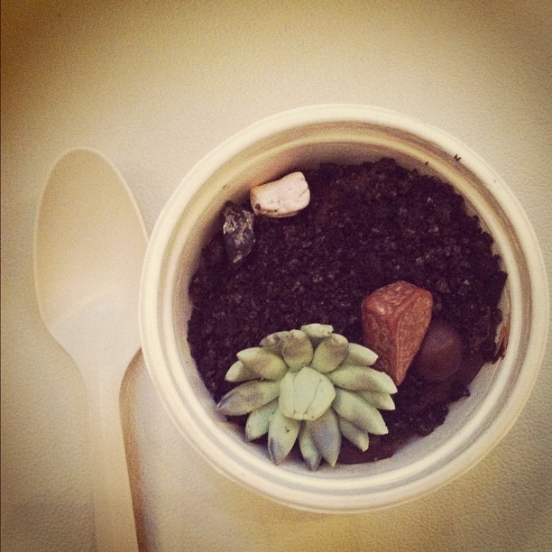 Pinterest Nudges Users Into the World With New Android, iPad Apps - Liz ...